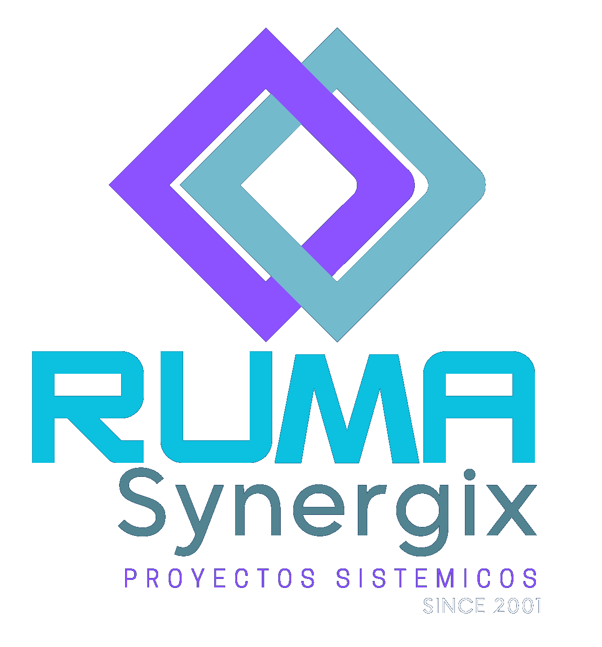 Acerca de nosotros - Ruma Synergix